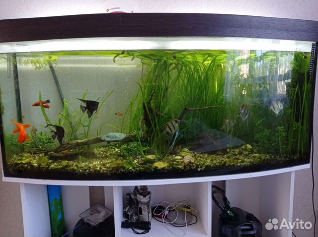 Украшение для аквариума