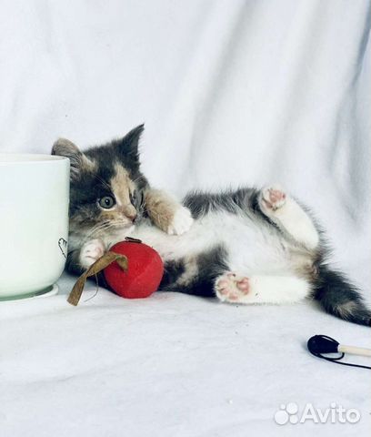 Особенная Малышка Вита без глазика