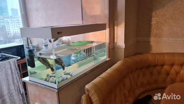 Аквариум, акватеррариум для черепахи, 100л