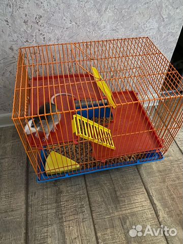 Ручная крыса