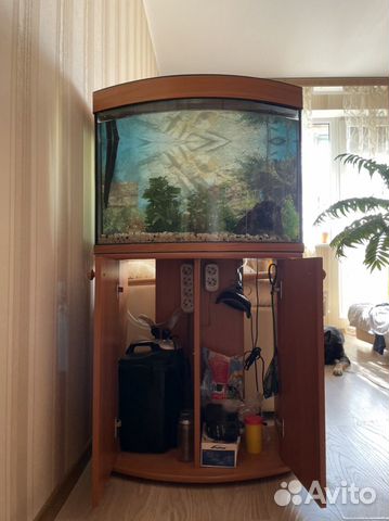 Панорамный аквариум 140 л (+все содержимое к нему)