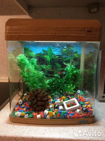 Аквариум