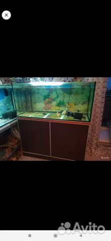 Аквариум на 300 литров