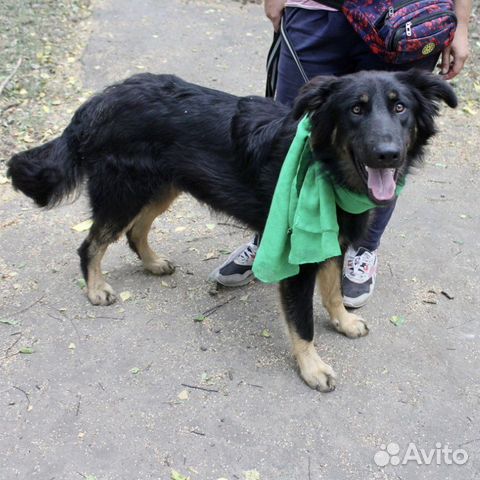 Возьми меня домой