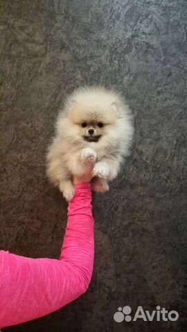 Мини позитивчик