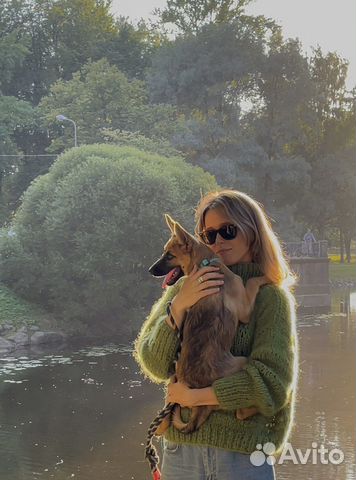 Спасенный щенок девочка в добрые руки