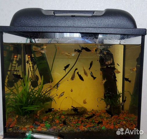 Аквариум 30 литров