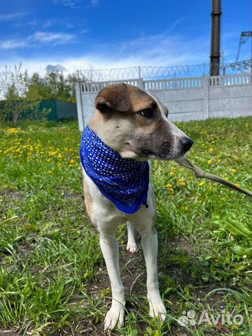 Ляле страшно в приюте