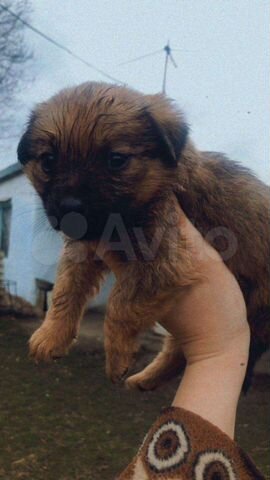 Крошечная малышка