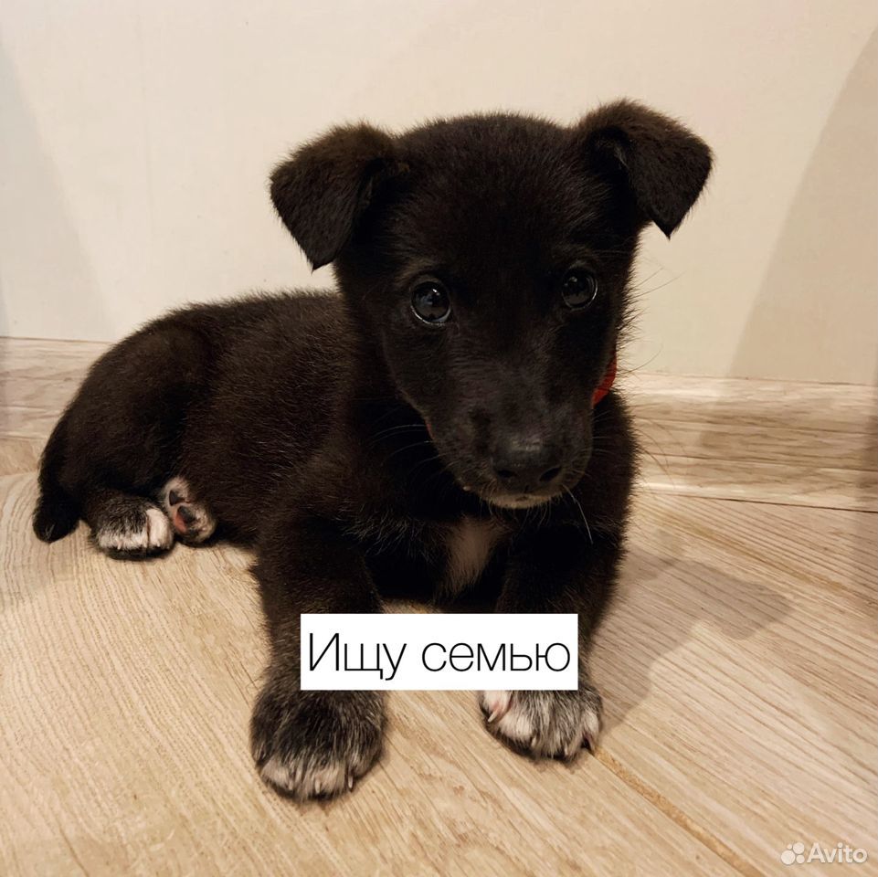 Ищу своего человека
