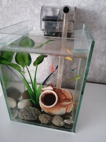 Аквариум с рыбками